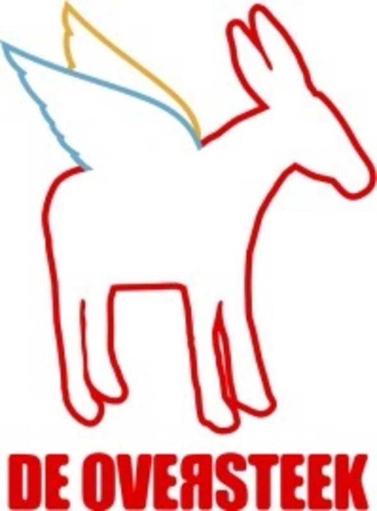 Commissie De Oversteek selecteert vier projecten voor scenario ...